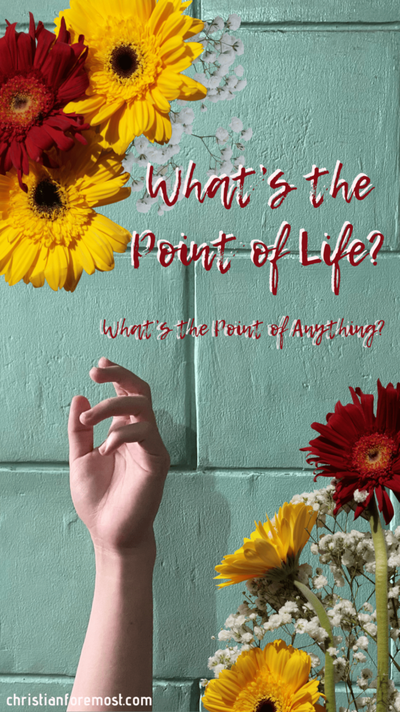 What's the Point of Life? What's the Point of Anything? - Christian ...